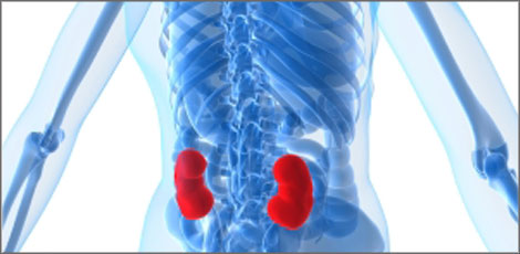 Kas koroonaviirus võib ka neerud rivist välja lüüa? - Kliinik.ee